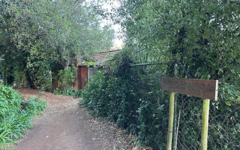 Discover the Paradise Valley - a quick escape for Everyone - Authentic Experiences from Fellow Travelers