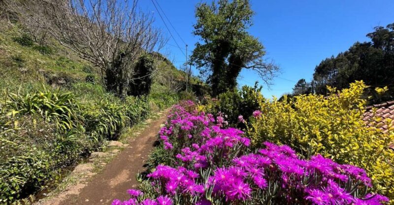 Discover the Paradise Valley - a quick escape for Everyone - Final Thoughts: Who Will Love This Tour?