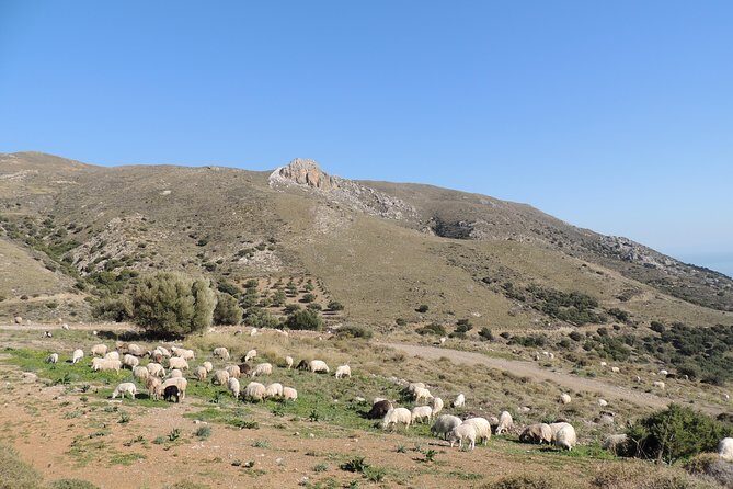 Discover The Secrets Of The Southern Crete Jeep Safari tour - FAQ