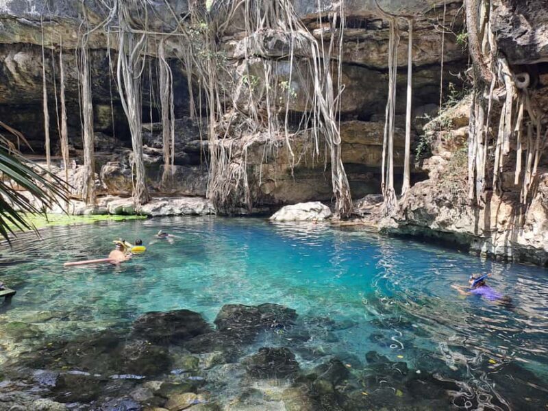 Discover the Serenity: A Tour of the Hidden Cenotes (PVT) - Key Points
