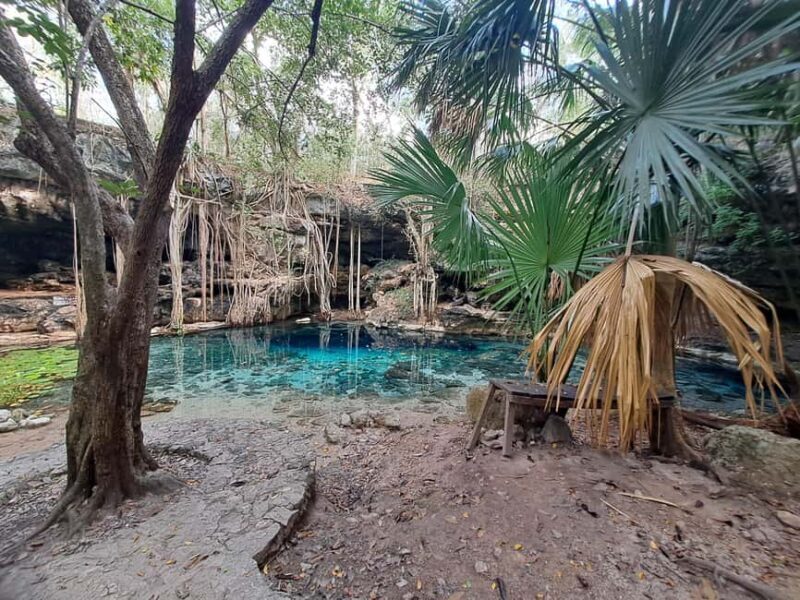 Discover the Serenity: A Tour of the Hidden Cenotes (PVT) - A Closer Look at the Tour Experience