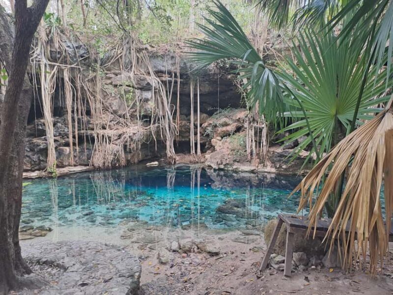 Discover the Serenity: A Tour of the Hidden Cenotes (PVT) - Why This Tour Works Well