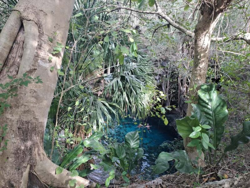 Discover the Serenity: A Tour of the Hidden Cenotes (PVT) - FAQ
