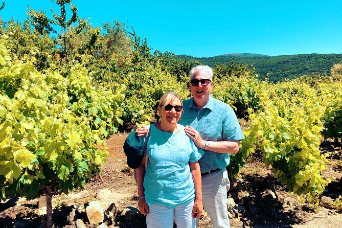 Discover the unique wine and villages of the Sierra de Salamanca - The Experience: What Reviewers Say