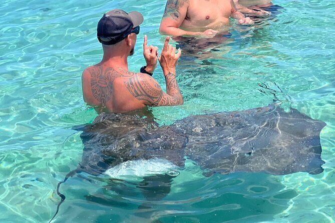 Discover the unspoilt sites of the lagoon DE Moorea - A detailed look at what this Moorea lagoon tour offers