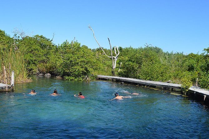 Discover the Wonders of Holbox, Cenote and Passion Island. Transport included - An In-Depth Look at the Tour Experience