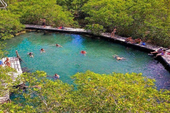 Discover the Wonders of Holbox, Cenote and Passion Island. Transport included - Who Is This Tour Perfect For?