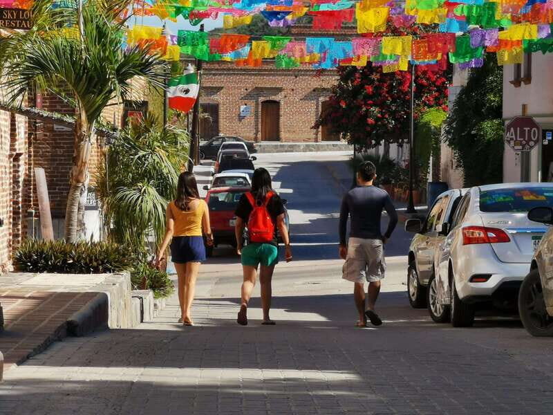 Discover Todos Santos: A Private Journey Through Culture. - A Detailed Look at the Experience  
