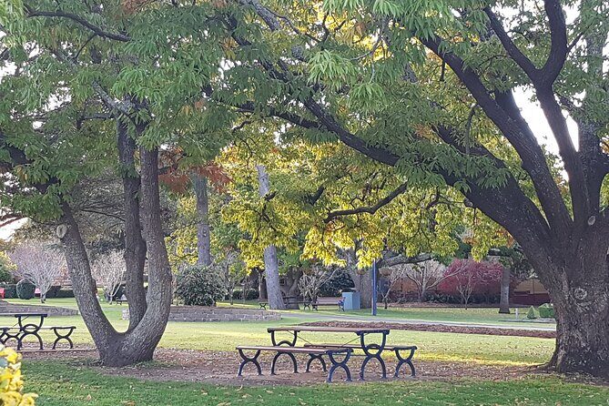 Discover Toowoomba Tours - A Deep Dive into the Toowoomba Experience