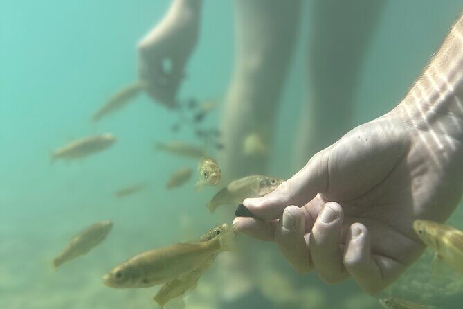 Discover Valencia's Magical Nature - FAQ