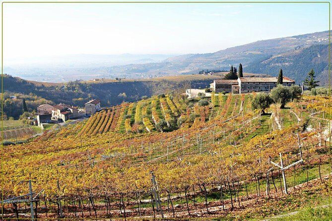 Discover Valpolicella Vineyards and Wine Tasting Experience - Final Thoughts