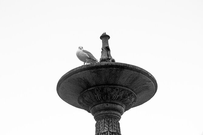 Discover Vigo: Historical and Cultural Walking Tour - The Sum Up