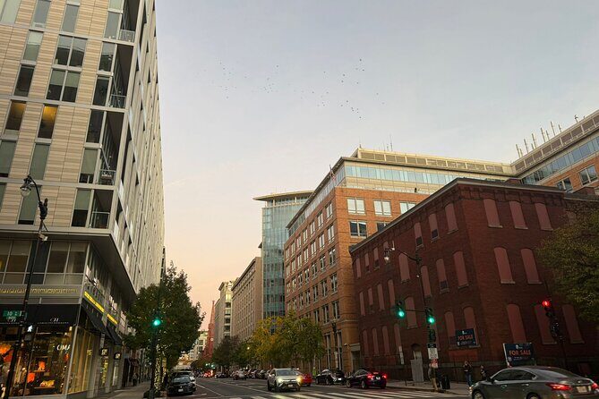 Discover Washington DC from New York City - In-Depth Look at the Experience