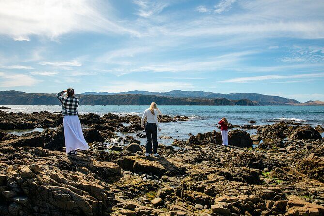 Discover Wellington 3 hour City Tour - The Itinerary Breakdown: What to Expect