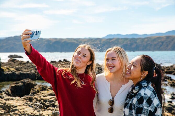 Discover Wellington 3 hour City Tour - Who Would Love This Tour?