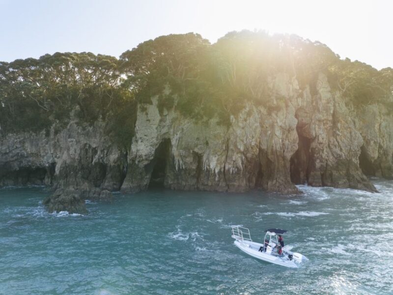 Discover Whangamata - Boat Tour - The Experience from the Guides’ Perspective