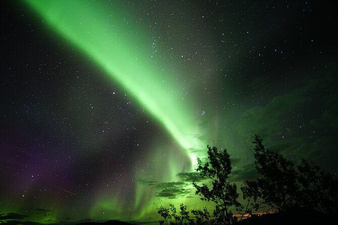 Discover Whitehorse with Northern Lights and Yukon Wildlife Tour - FAQ