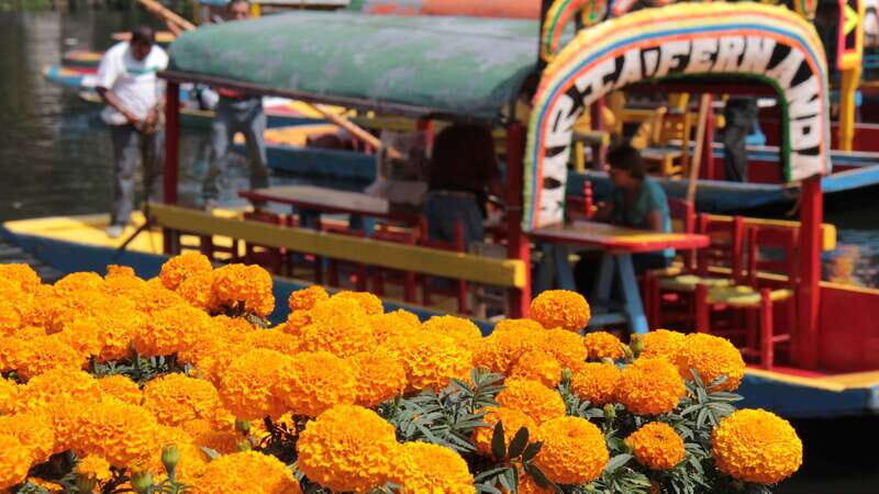 Discover Xochimilco and Coyoacán: Tradition, Music, Culture - FAQs