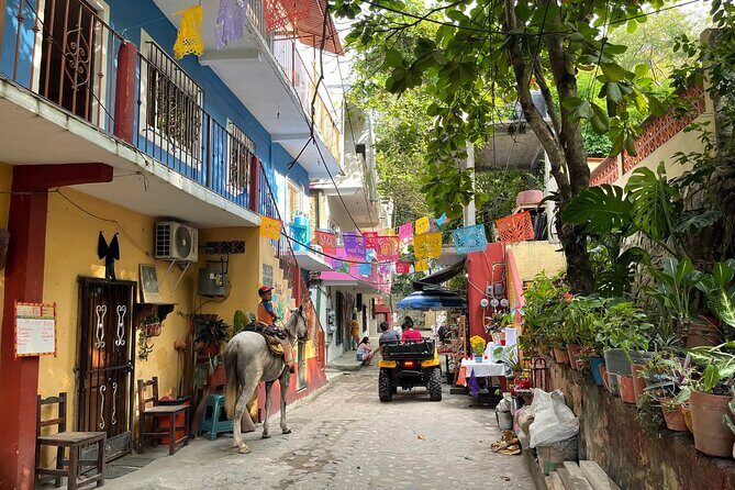 Discover Yelapa Fishing Village - The Journey Begins: What to Expect from This Full-Day Tour