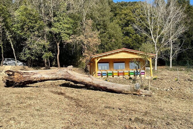 Discovering Bees in Volterra - Honey Extraction & Tasting: A Sweet Ending