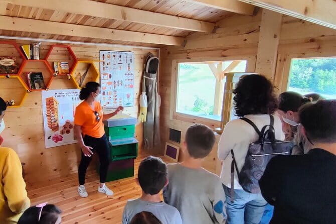 Discovering Bees in Volterra - Who Should Consider This Tour?