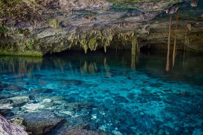 Discovering Breathtaking Cenotes in Tulum - Authentic Experiences and Hidden Gems
