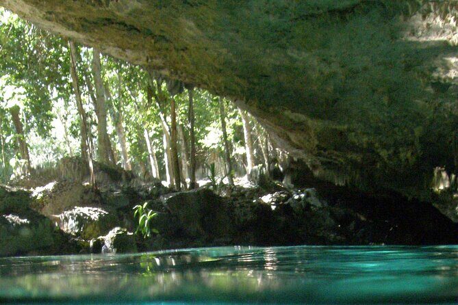 Discovering Breathtaking Cenotes in Tulum - In The Sum Up