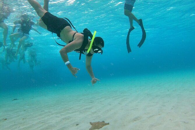 Discovering El Cielo Reef by Double Decker Catamaran - FAQ