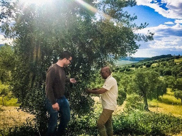 Discovering extra virgin olive oil - Discovering Extra Virgin Olive Oil: A Deep Dive into Italy’s Olive Heritage