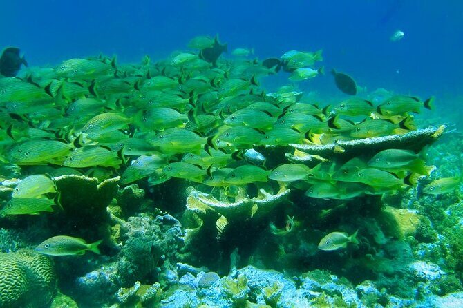 Discovering Isla Mujeres on a Double Decker Catamaran - Authentic Traveler Insights and Tips