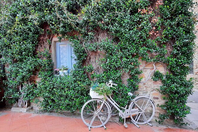Discovering LeonardoDaVinci's Origins & Aperitif among Vineyards - Introduction: Why This Tour Stands Out