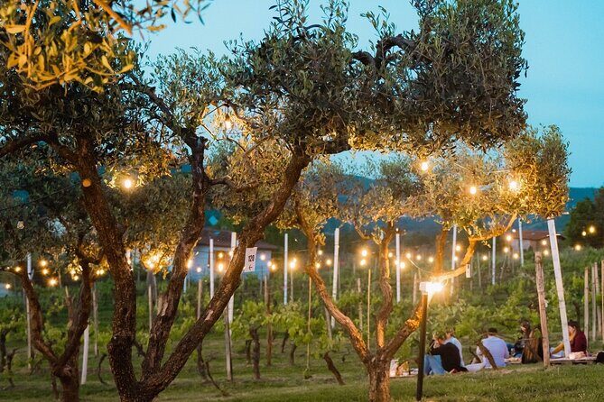 Discovering LeonardoDaVinci's Origins & Aperitif among Vineyards - Final Thoughts: Who Will Love This Tour?