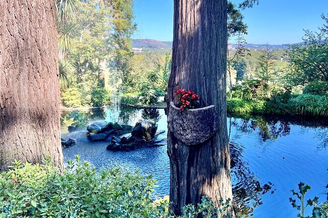 Discovering Magical Garden of Vines Tour in Quinta da Aveleda - The Journey Begins: Pickup and Scenic Transfer