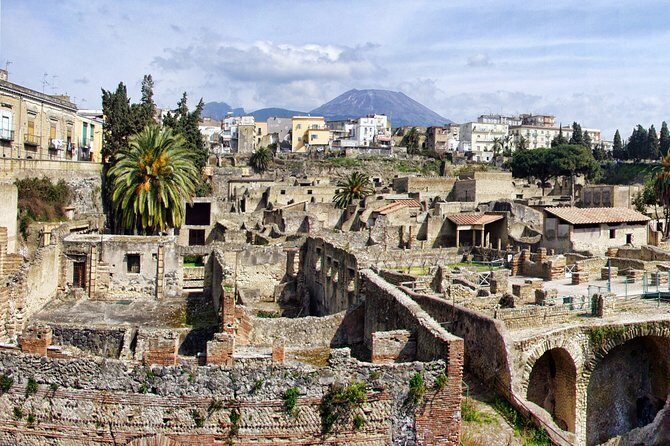Discovering Pompeii and Herculaneum - VIP Tour with Lunch - Transportation and Logistics