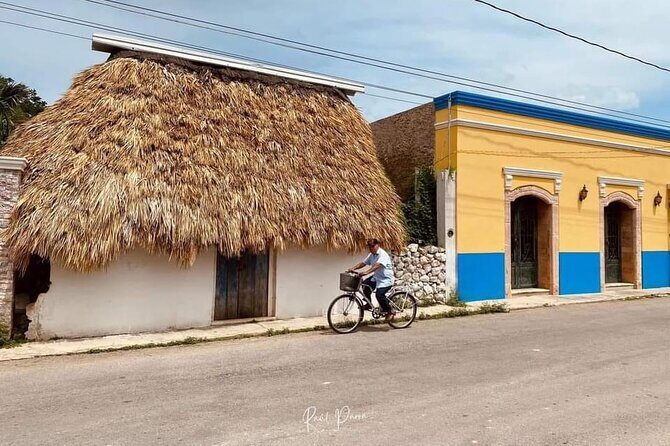 Discovering Sisal All Inclusive - Who Would Love This Tour?