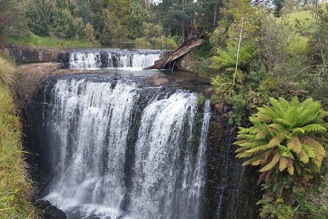 Discovering Tasmania: Burnie Shore Excursion - Why This Tour Works