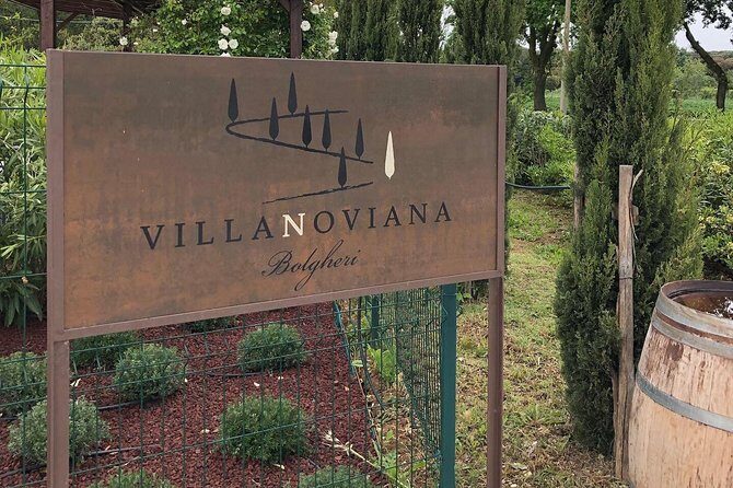 Discovering the Bolgheri vineyards and tasting local products - An In-Depth Look at the Itinerary