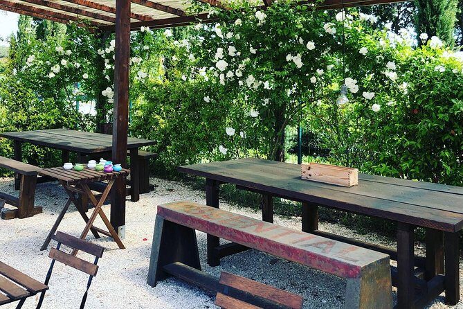 Discovering the Bolgheri vineyards and tasting local products - Practical Details and Considerations