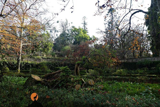 Discovering the charms and places of Coimbra - The Sum Up