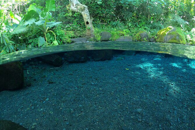 Discovering the emblematic sites of Tahiti - The Sum Up