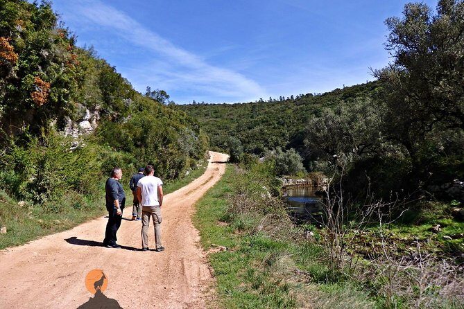 Discovering the Roman Ruins of Conímbriga and the Caves of Sicó - What Youll Experience