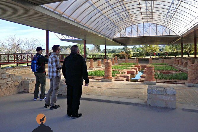 Discovering the Roman Ruins of Conímbriga and the Caves of Sicó - Authentic Insights from Past Travelers