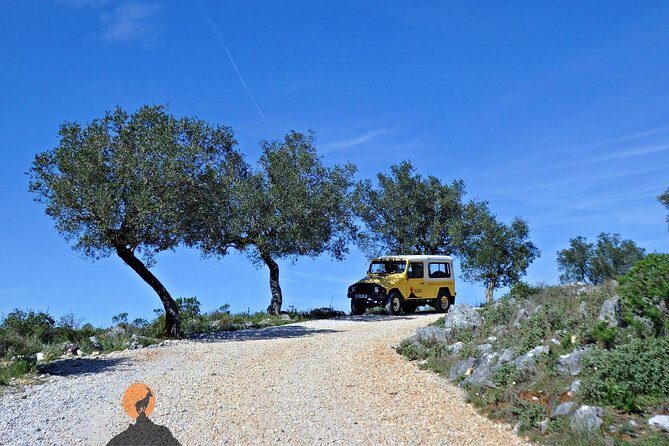 Discovering the Roman Ruins of Conímbriga and the Caves of Sicó - FAQs