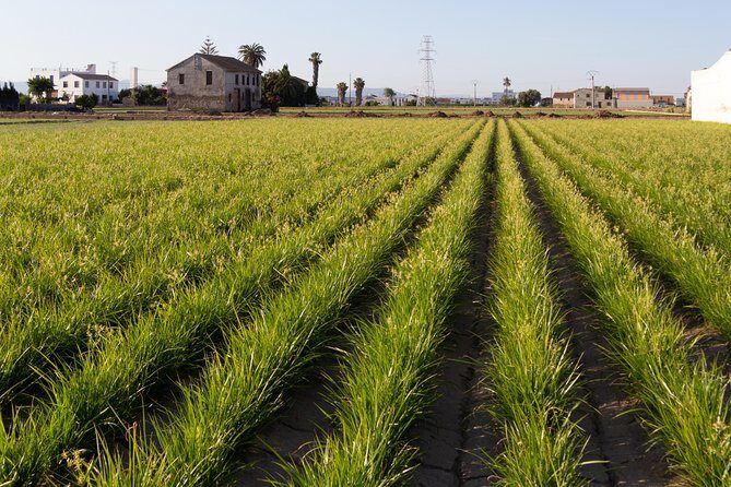 Discovering Valencia - private full day tour - Forest Mountain Walk