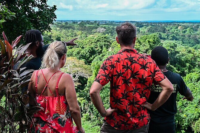 Discovery Bush Walk from Port Vila - Discover the Beauty of Vanuatu with the Bush Walk from Port Vila