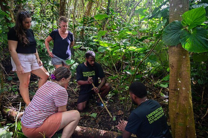 Discovery Bush Walk from Port Vila - A Closer Look at the Vanuatu Bush Walk Experience