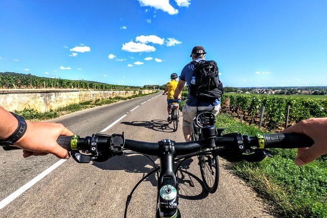 Discovery by bike & Tasting in the vineyards - Key Points  