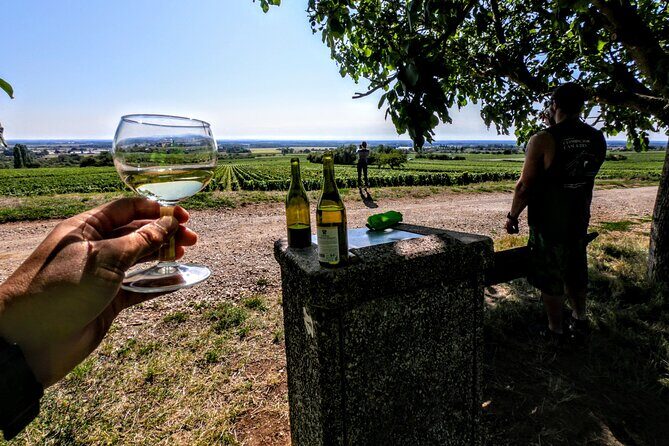 Discovery by bike & Tasting in the vineyards - An In-Depth Look at the Experience