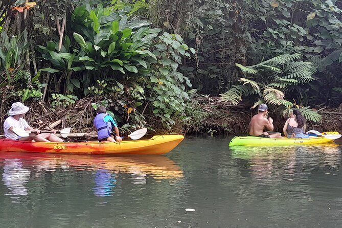 Discovery in Kayaking of the Faaroa River in Raiatea - Discovery in Kayaking of the Faaroa River in Raiatea: An Authentic Polynesian Adventure