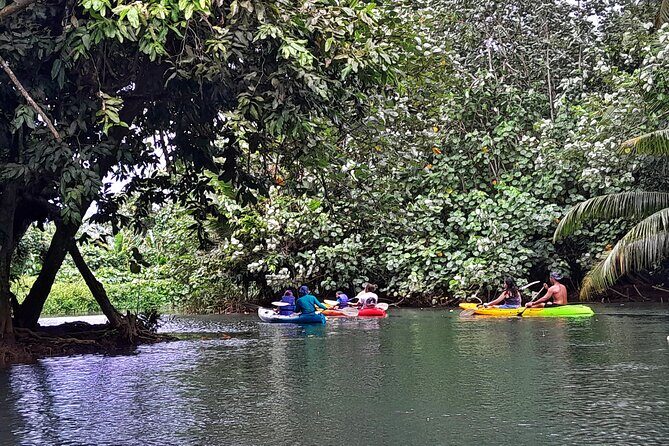 Discovery in Kayaking of the Faaroa River in Raiatea - Authenticity and Local Impact
